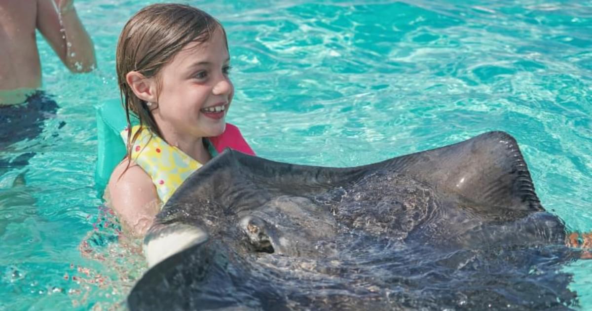Expert Guide to Stingray City Tours in Grand Cayman